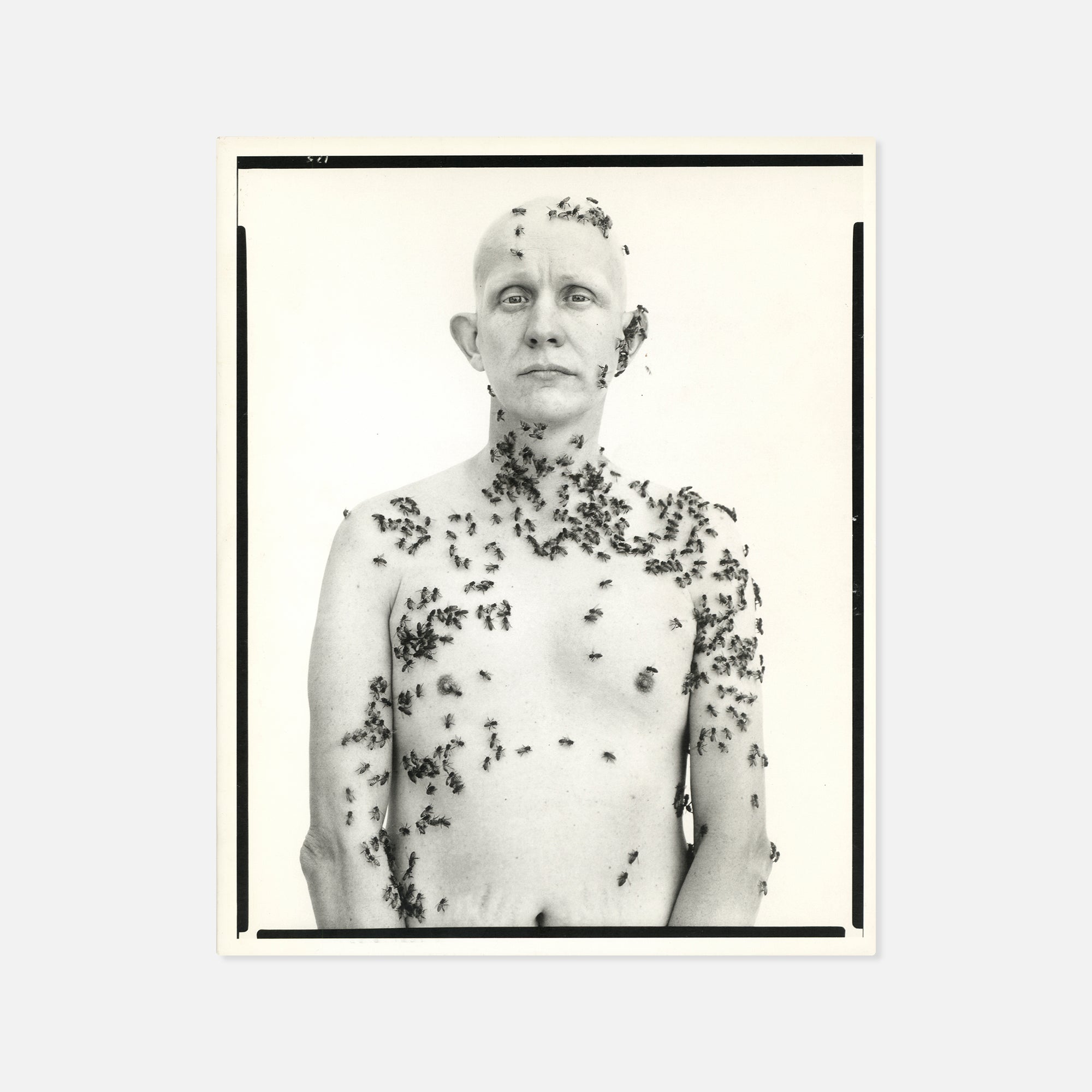 Candy Darling Richard Avedon