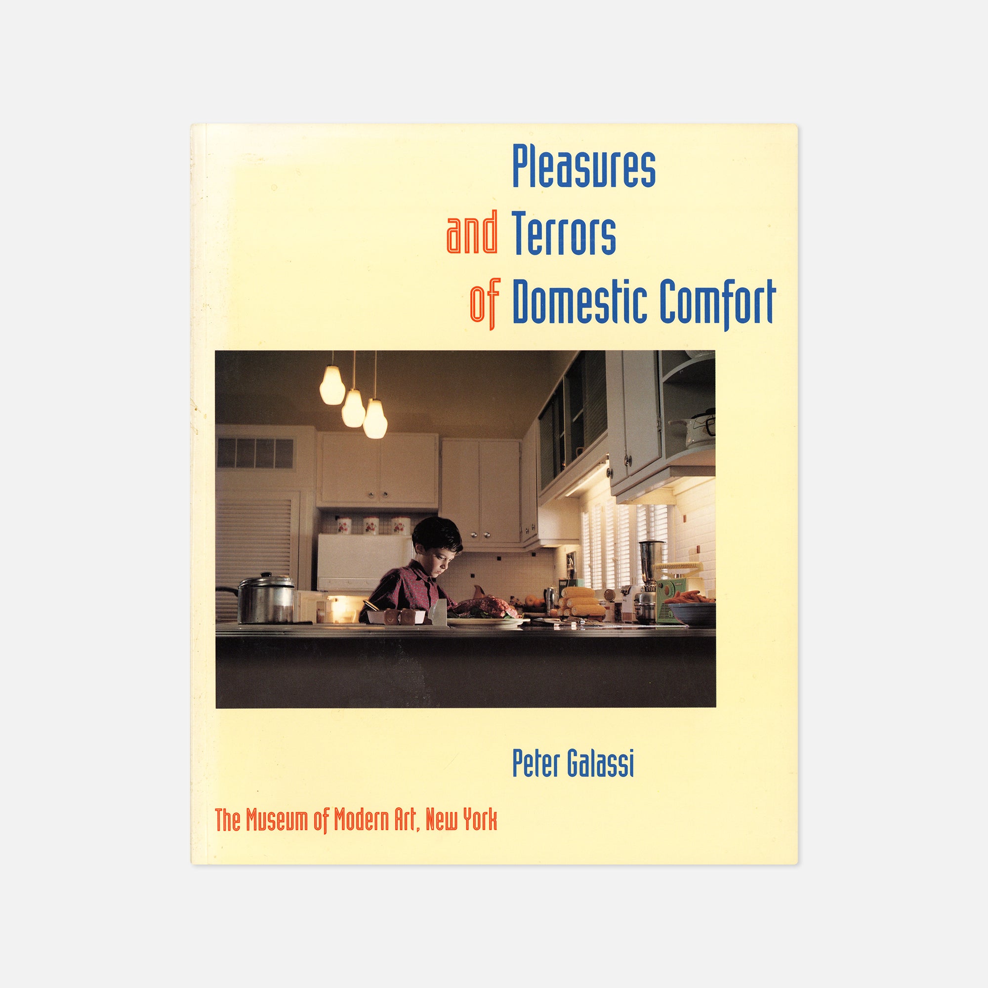 Peter Galassi — Pleasures and Terrors of Domestic Comfort – Wolf Books
