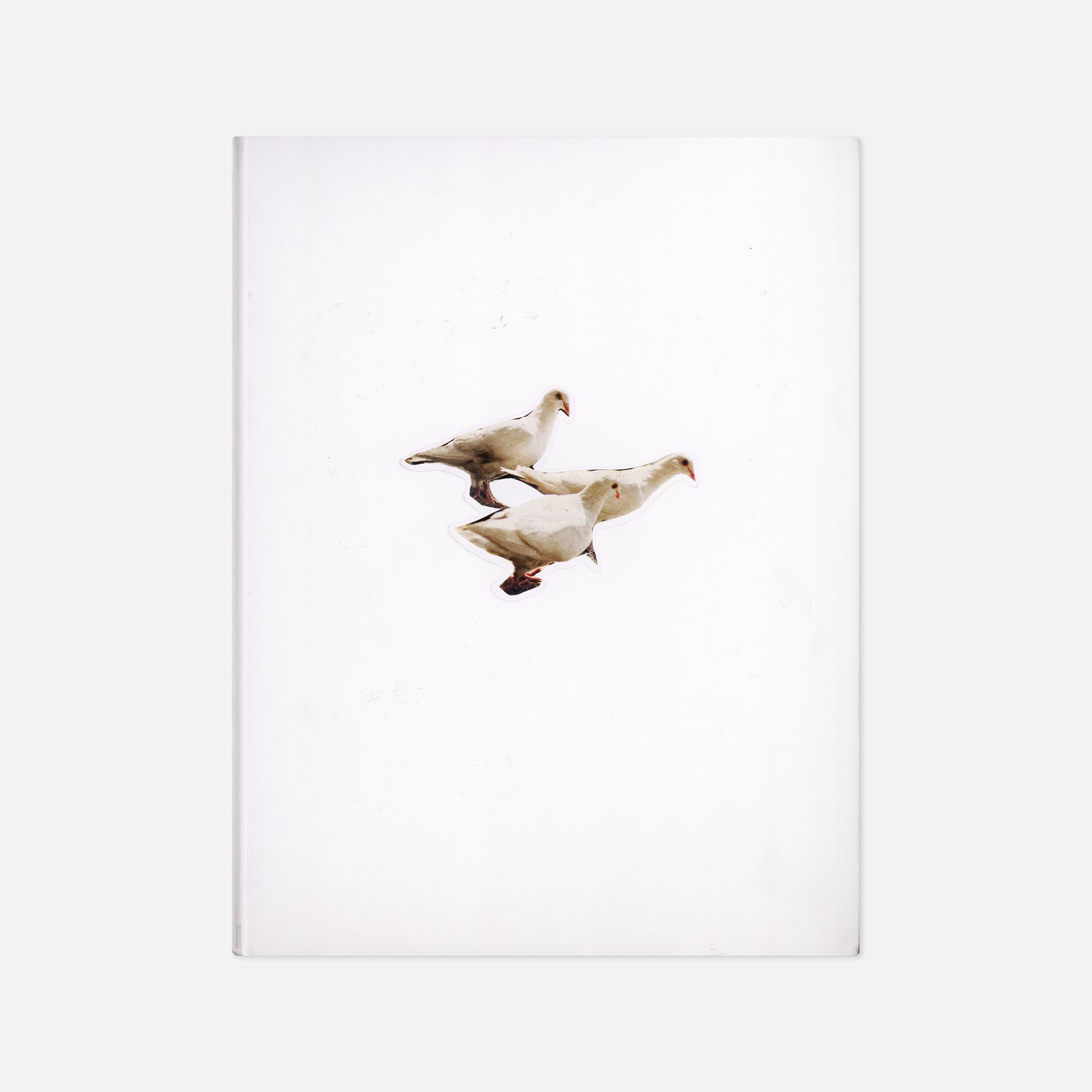Carolyn Drake — Wild Pigeon – Wolf Books