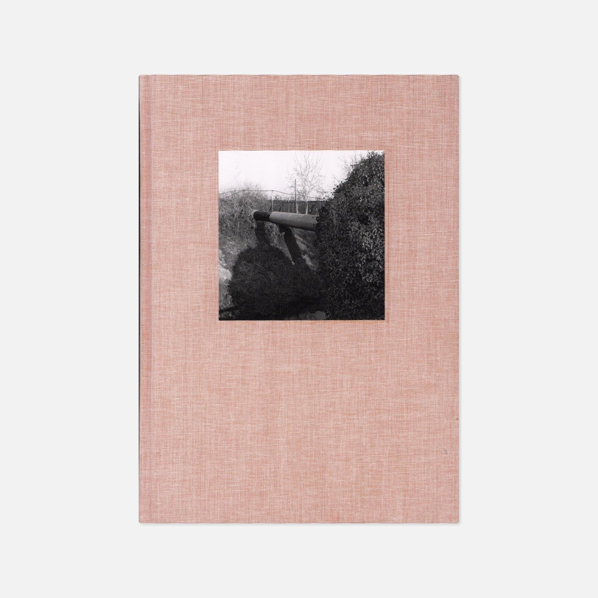 Gerry Johansson — Meloni Meloni – Wolf Books