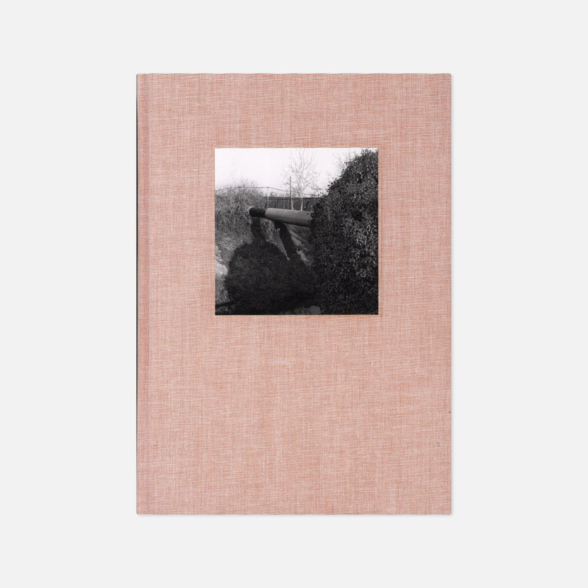 Gerry Johansson — Meloni Meloni – Wolf Books