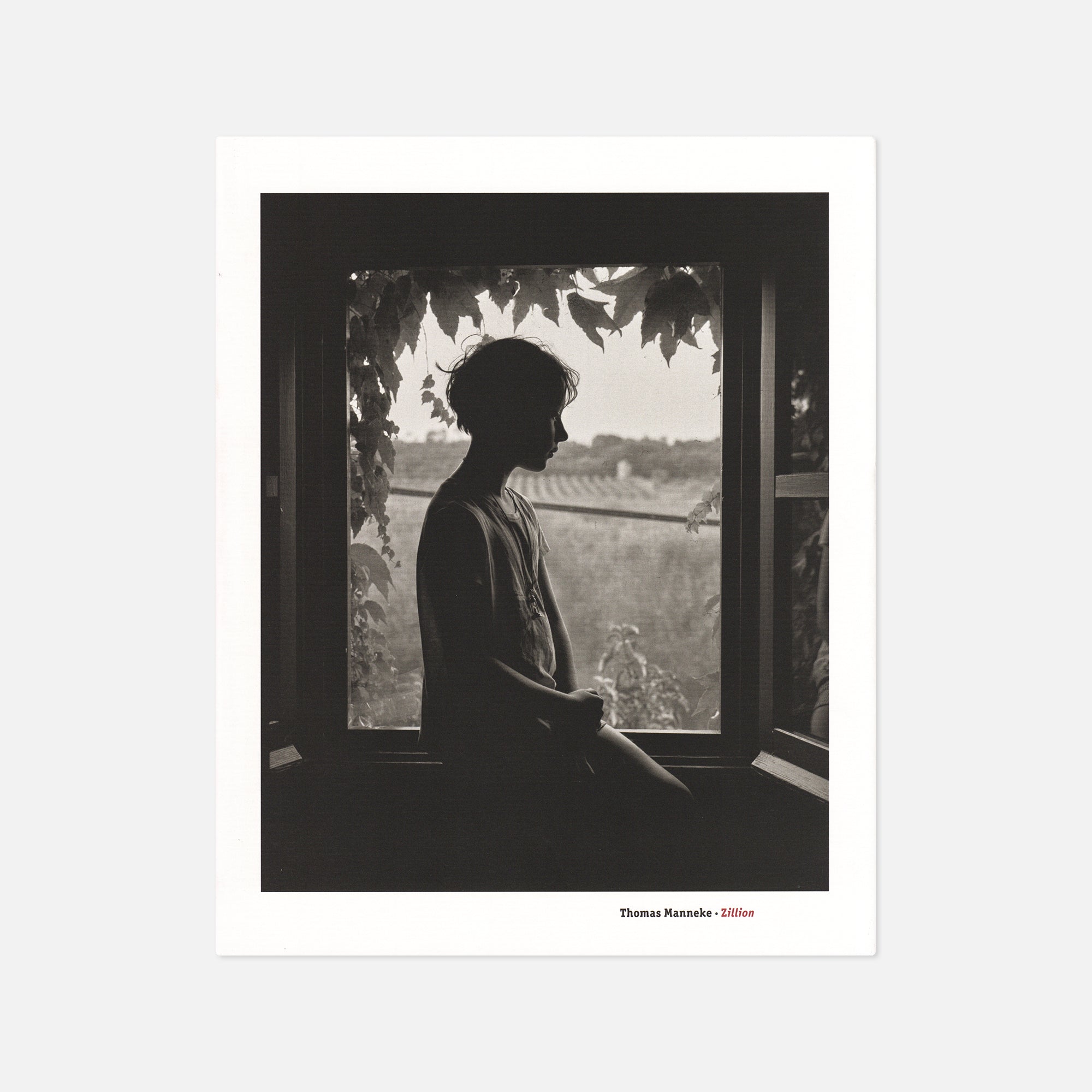 Thomas Manneke — Zillion – Wolf Books